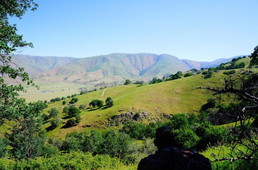 Get Your Shop On in Tejon Ranch, a California Landmark