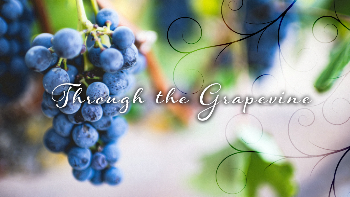 Through the Grapevine in Midwestern Wine Regions