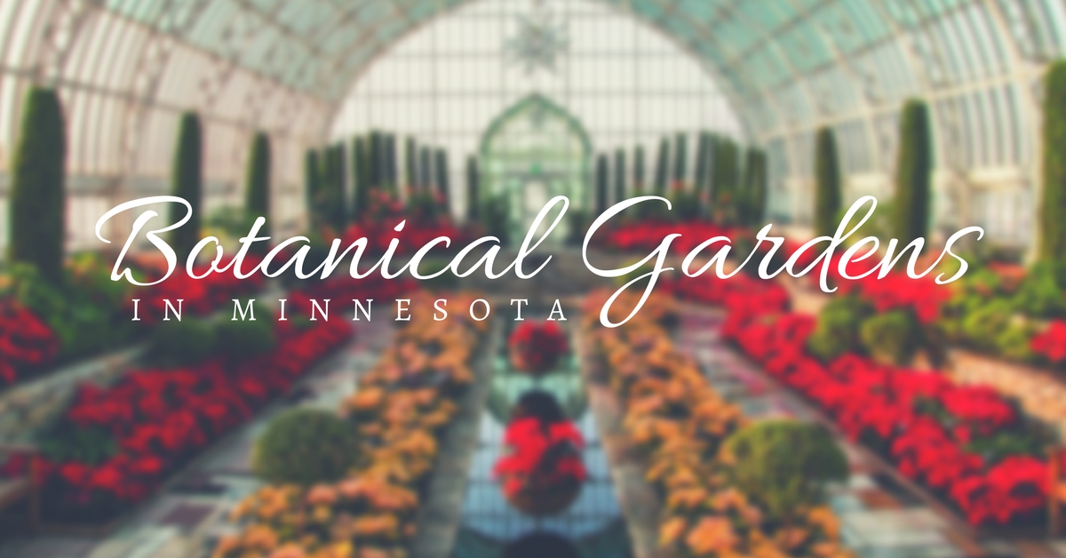 Minneapolis Flower Gardens Where To Find Native Minnesota Wildflowers