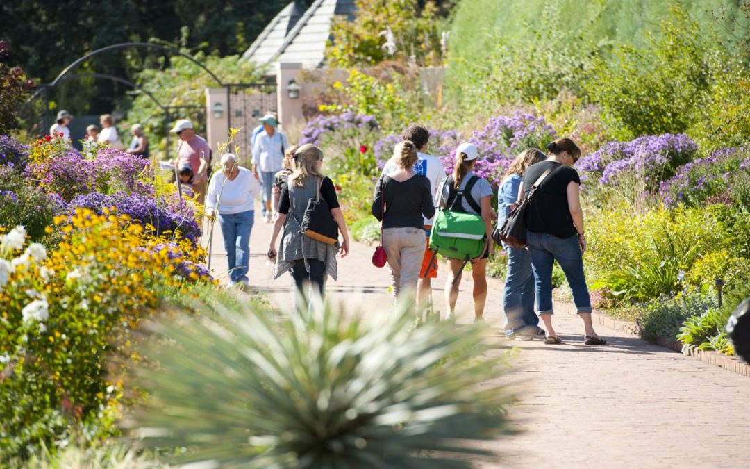 Colorado Botanical Gardens: Tips and Top Picks