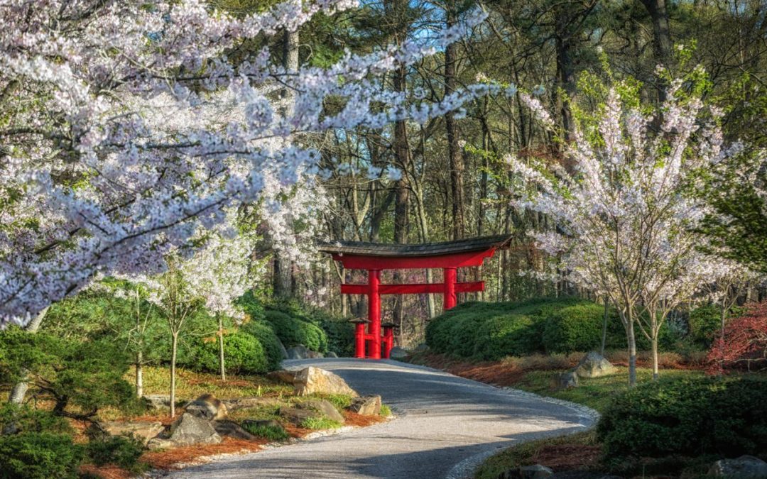 10 Hotspots for a Glamorous Girls Weekend in Birmingham