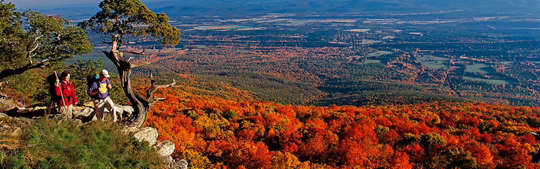 Arkansas Group Travel Guide: a Sneak Peek into the Natural State