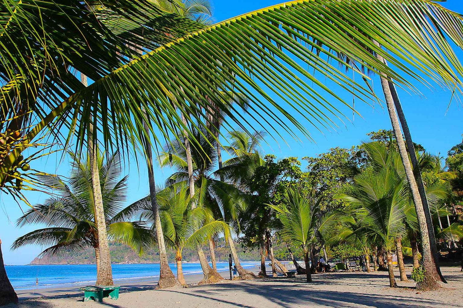 Collette Will Help You Explore the World