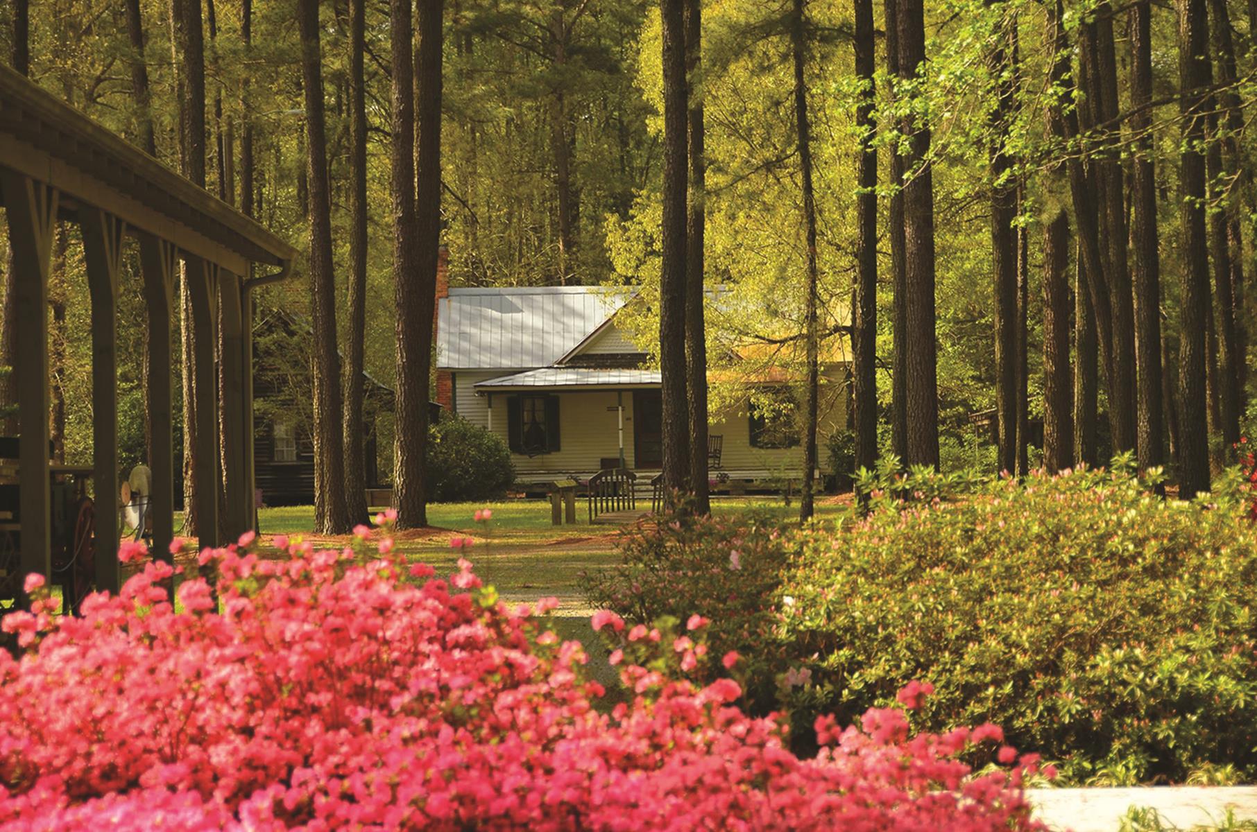 Must-Visit North Carolina Agritourism Experiences