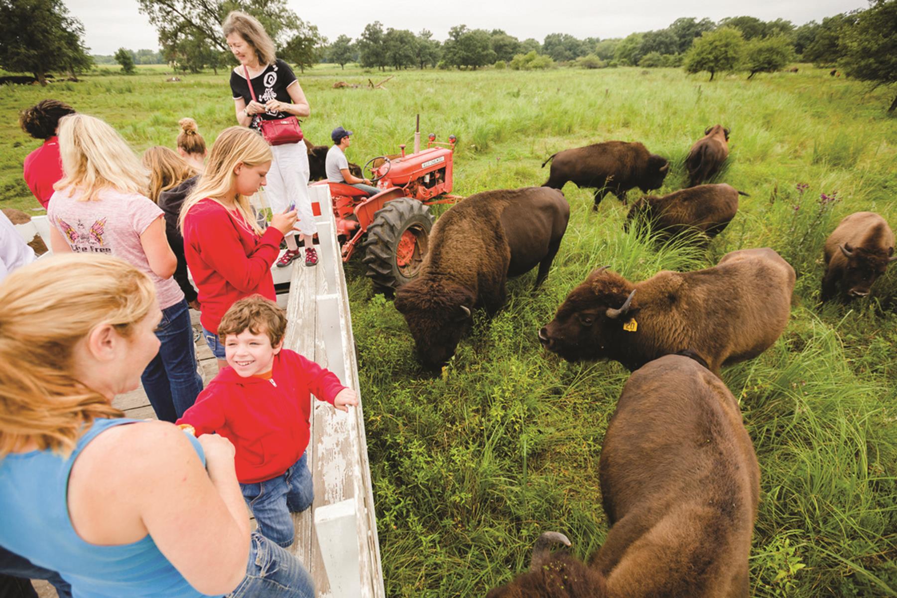 The 9 best IOWA AGRITOURISM EXPERIENCES