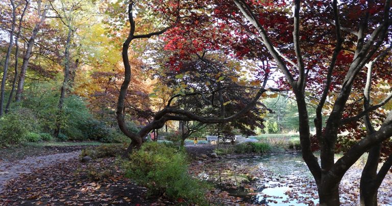Virginia Botanical Gardens Abloom for Tour Groups